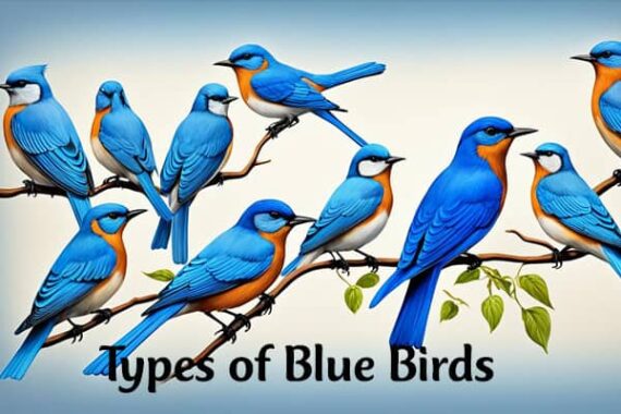 16 Types of Blue Birds (With Photos)